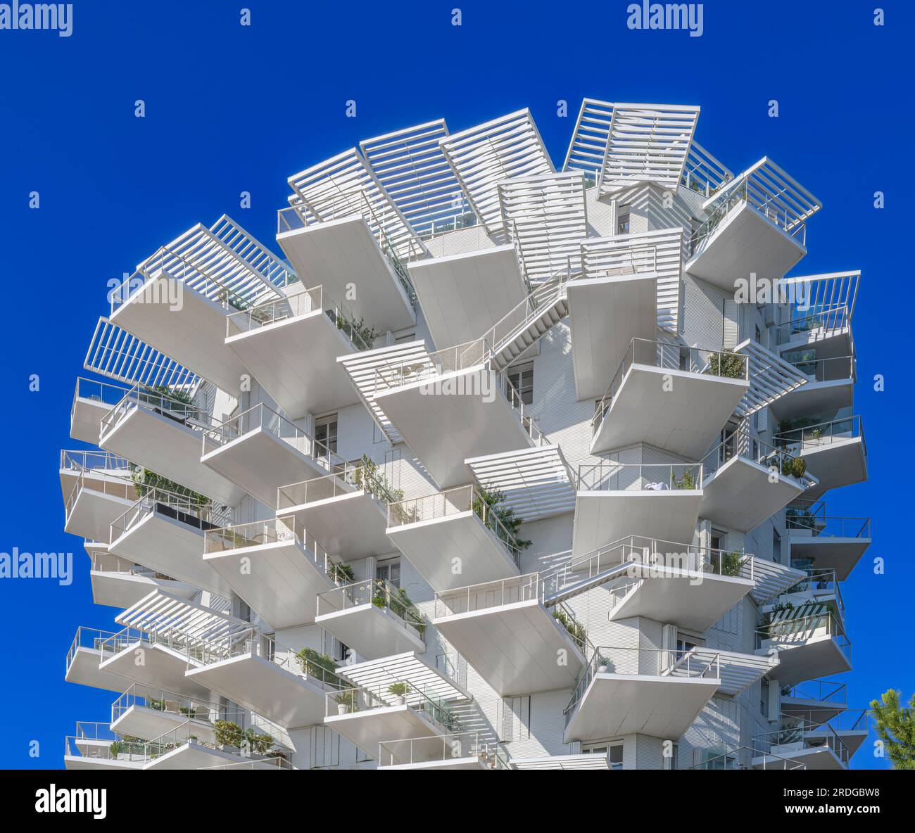 L'Arbre Blanc - White Tree - in Montpellier. Modelled on a tree, the ...