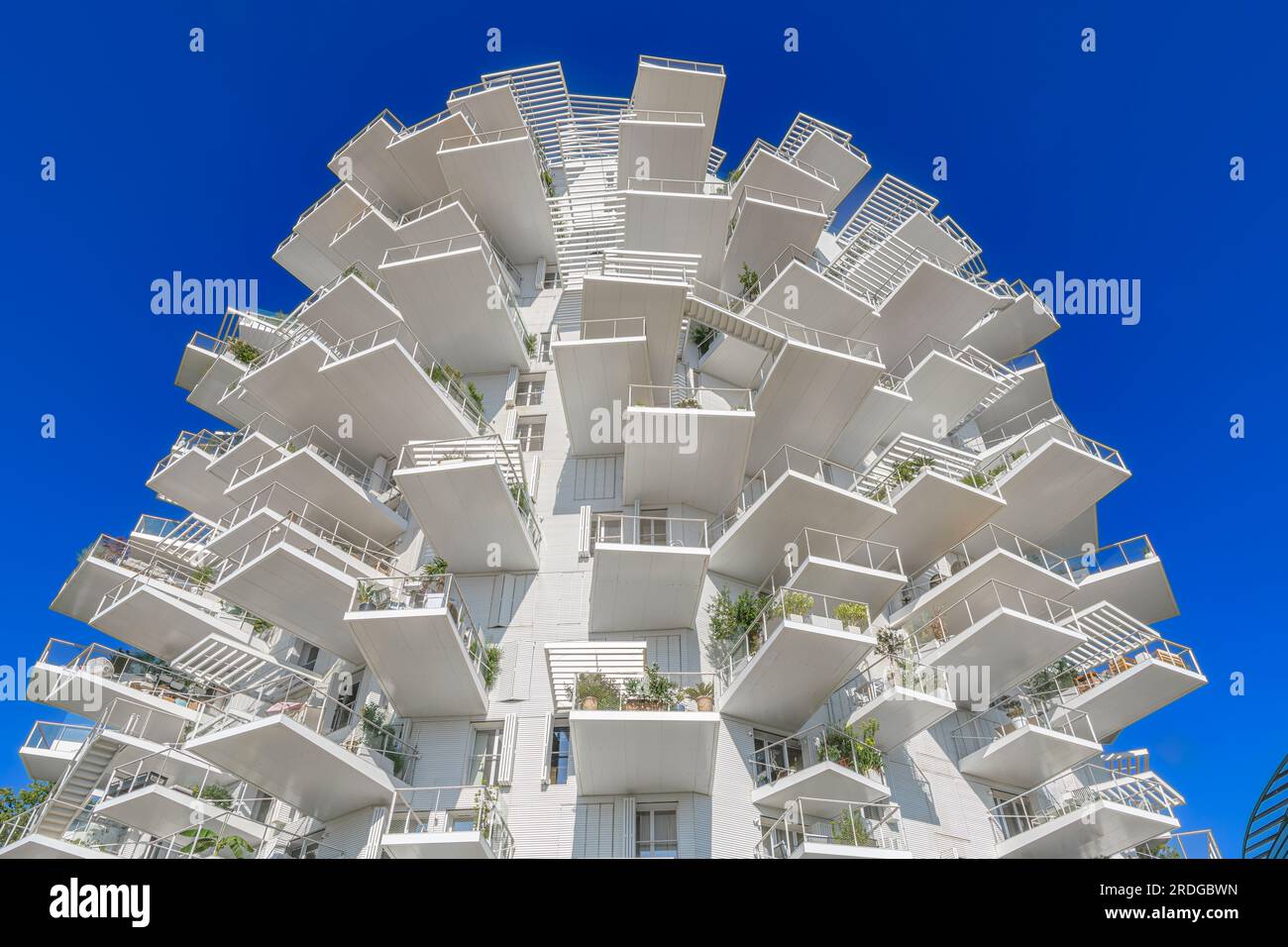 L'Arbre Blanc - White Tree - in Montpellier. Modelled on a tree, the ...