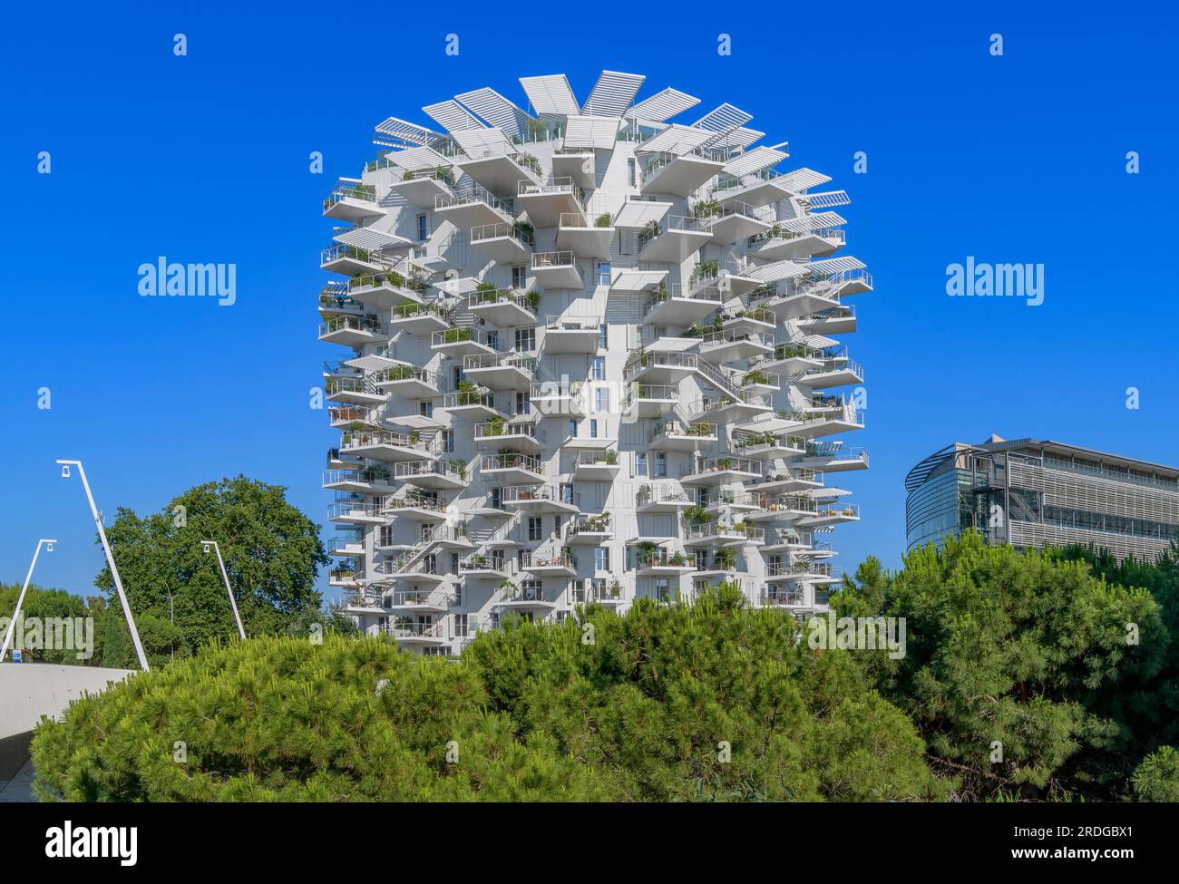 L'Arbre Blanc - White Tree - in Montpellier. Modelled on a tree, the ...