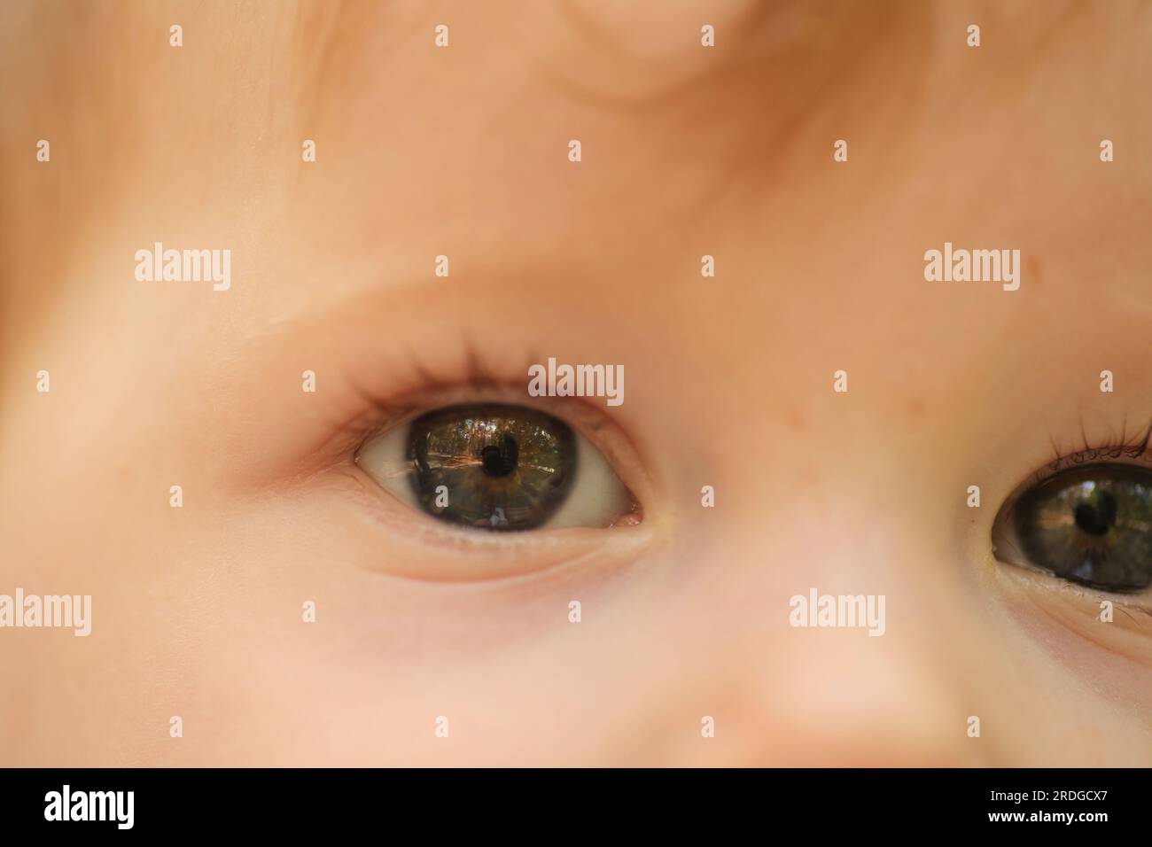 the look of a small child, the eyes of a child near Stock Photo - Alamy