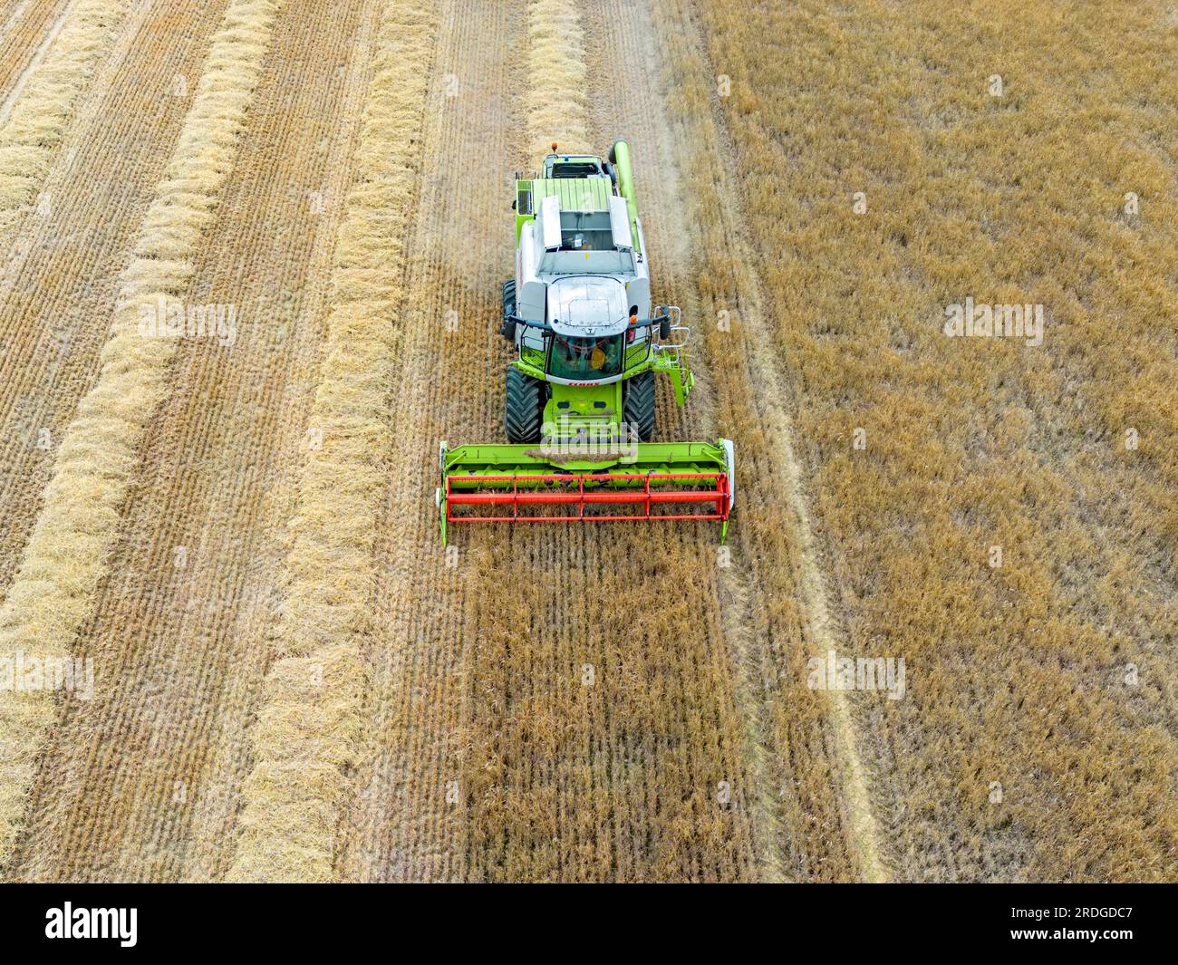 Combine harvester uk winter hi-res stock photography and images - Alamy