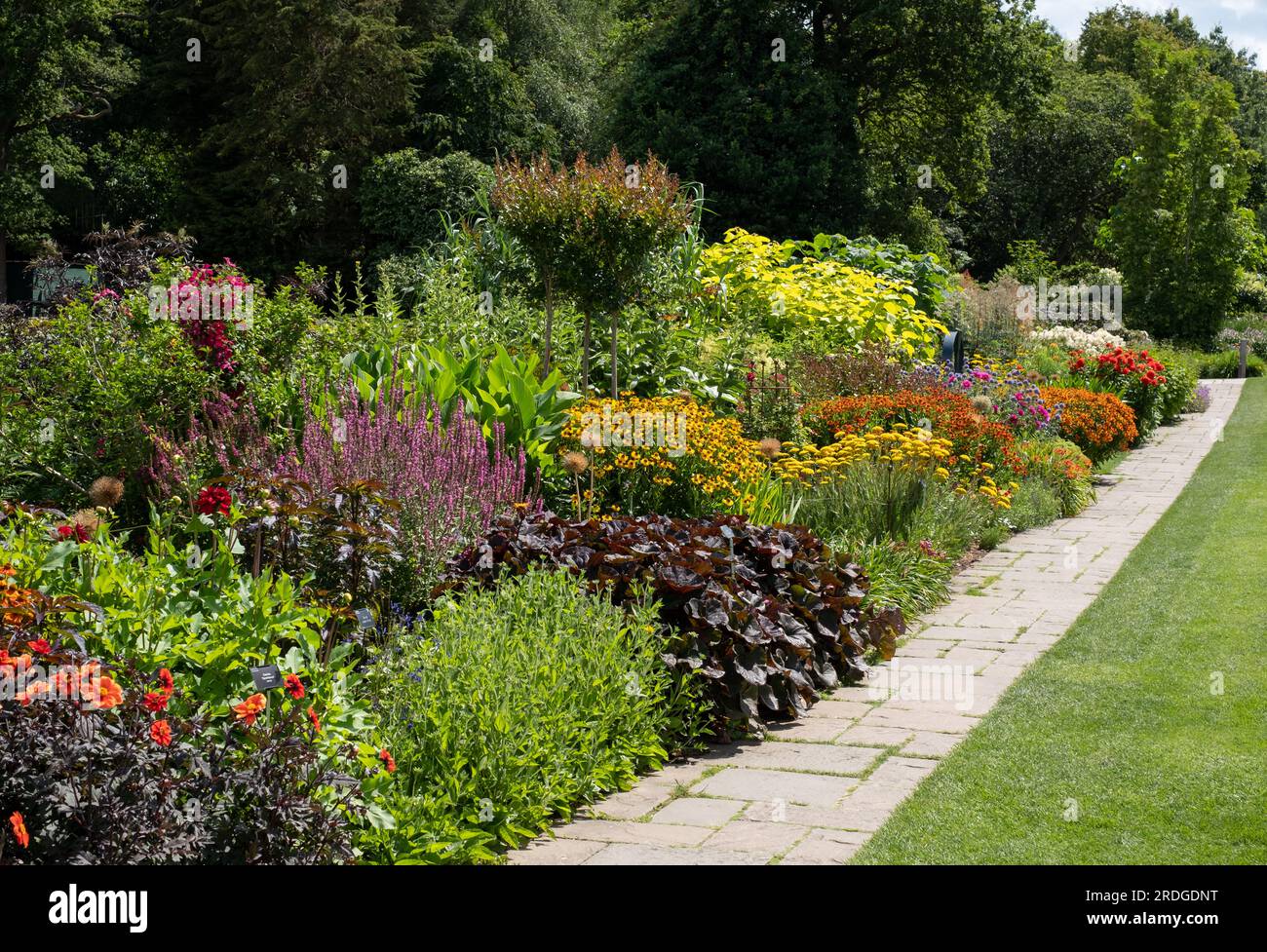 Stunning, colourful mixed flower borders at the RHS Wisley Garden ...