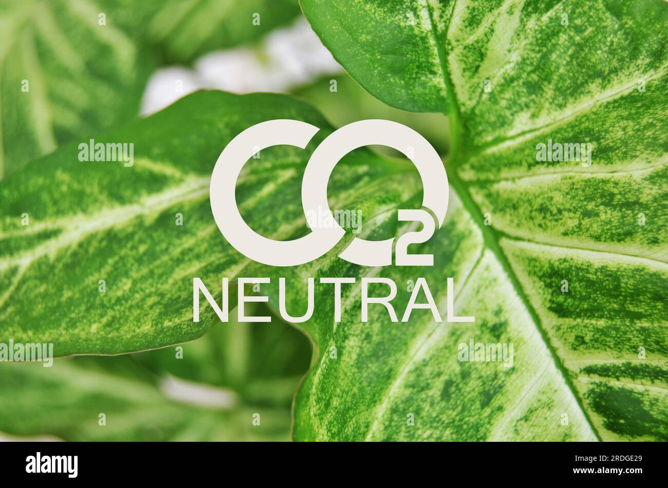 reducing CO2 emissions to stop climate change. green energy background ...