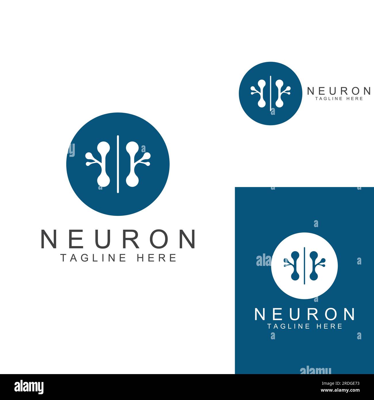 Neuron logo or nerve cell logo with vector concept Stock Vector Image ...