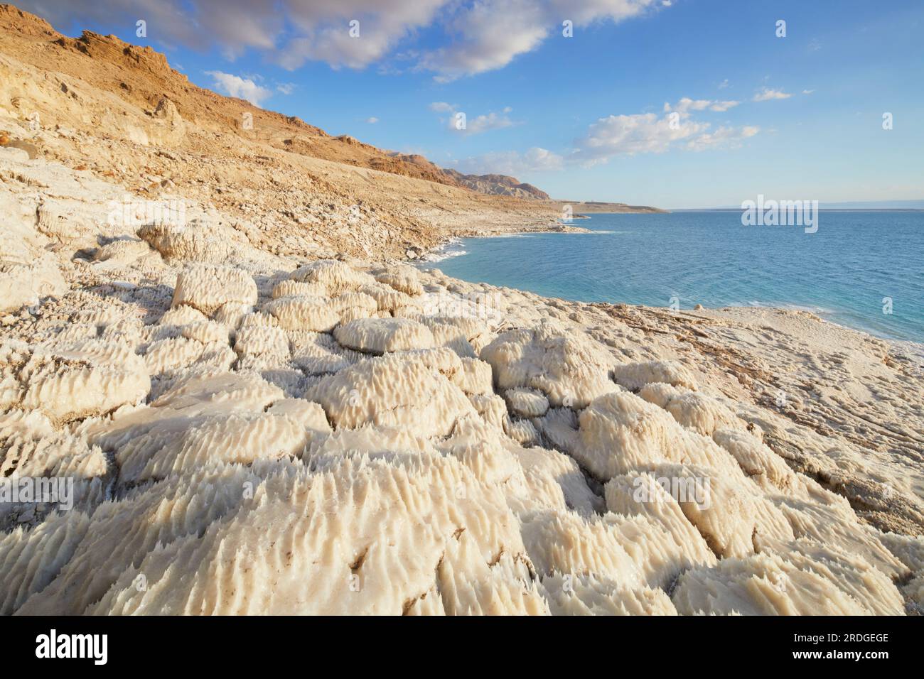 Salt deposits on the shoreline, The Dead Sea, Jordan Stock Photo - Alamy