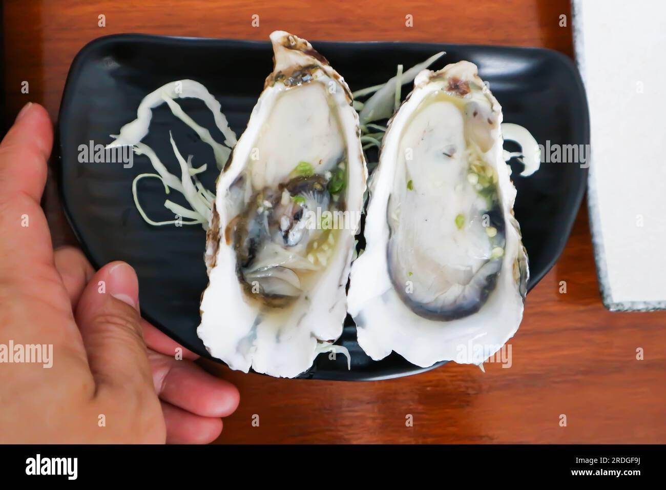 oyster or raw oyster , raw shell for serve Stock Photo - Alamy