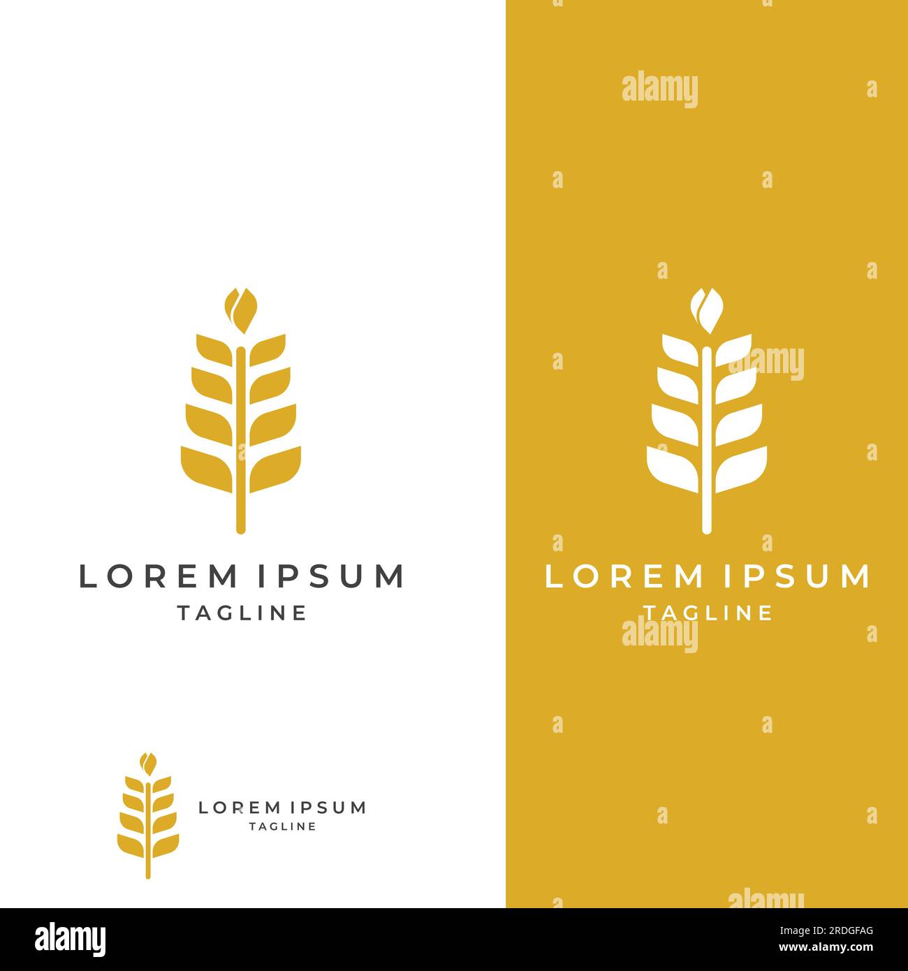 Wheat or cereal logo, wheat field and wheat farm logo.With easy and ...