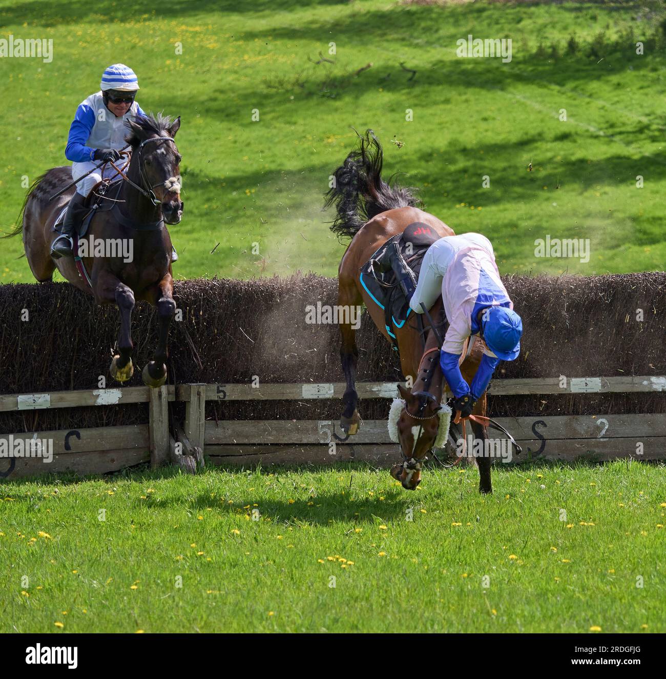 Godstone Point to Point steeplechase horse race Surrey Stock Photo - Alamy