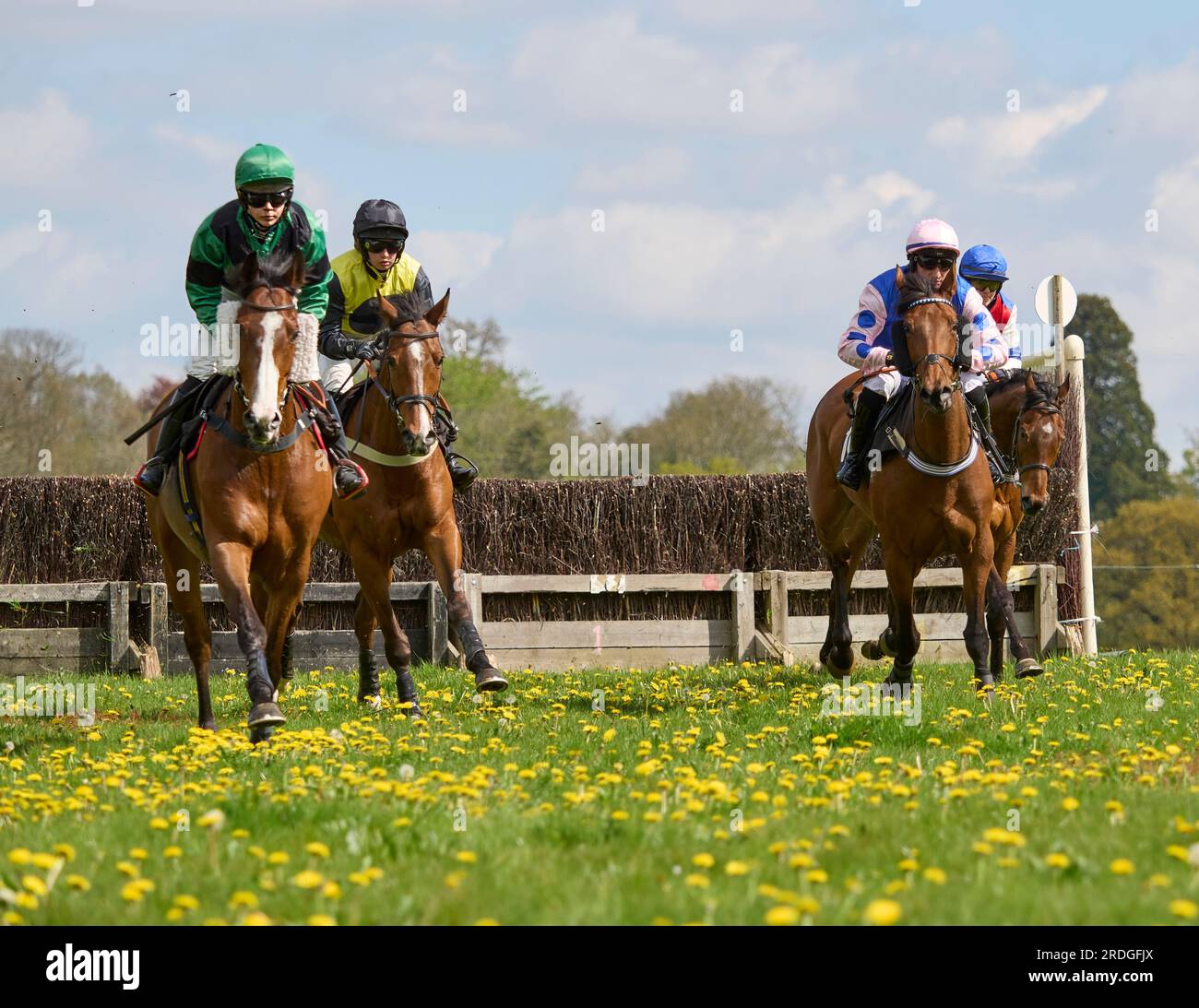 Godstone Point to Point steeplechase horse race Surrey Stock Photo - Alamy