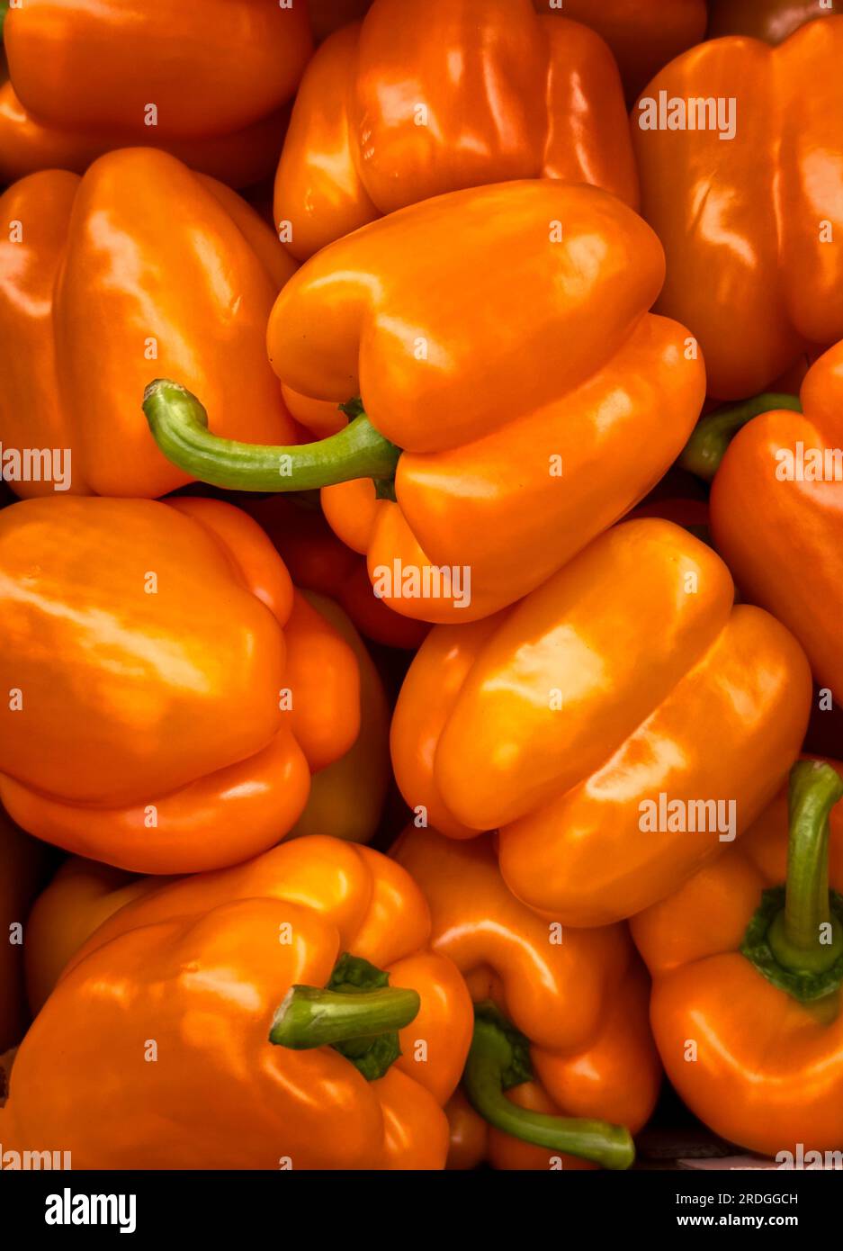 Orange peppers hi-res stock photography and images - Alamy