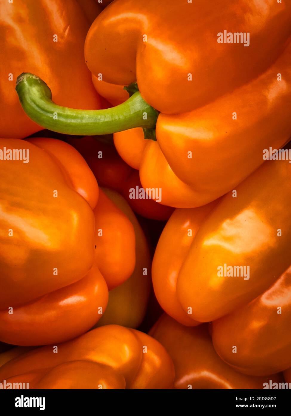 Orange peppers backdrop hi-res stock photography and images - Alamy