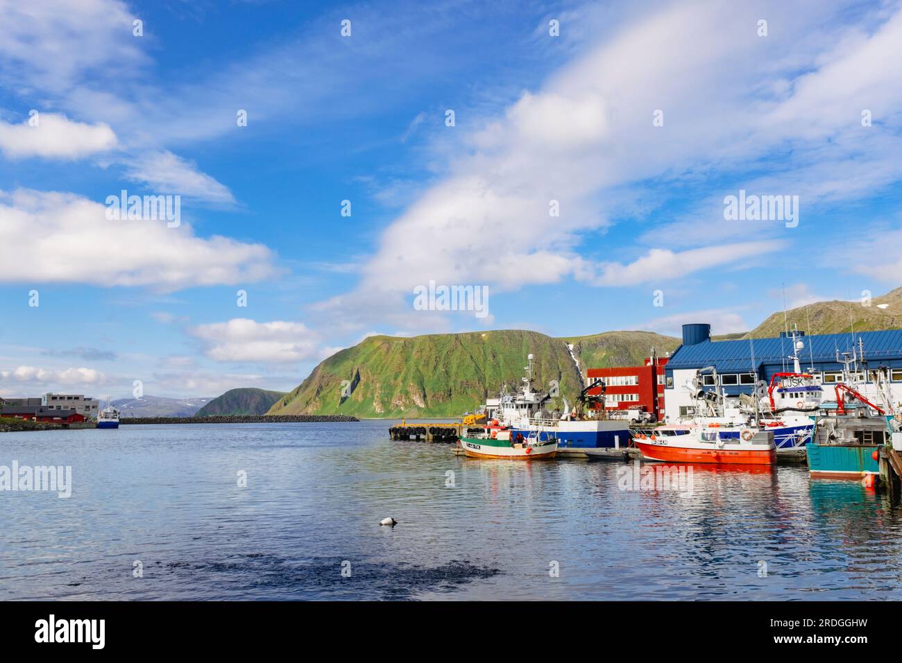 Boats in harbour of northernmost city on mainland. Honningsvar, Troms ...