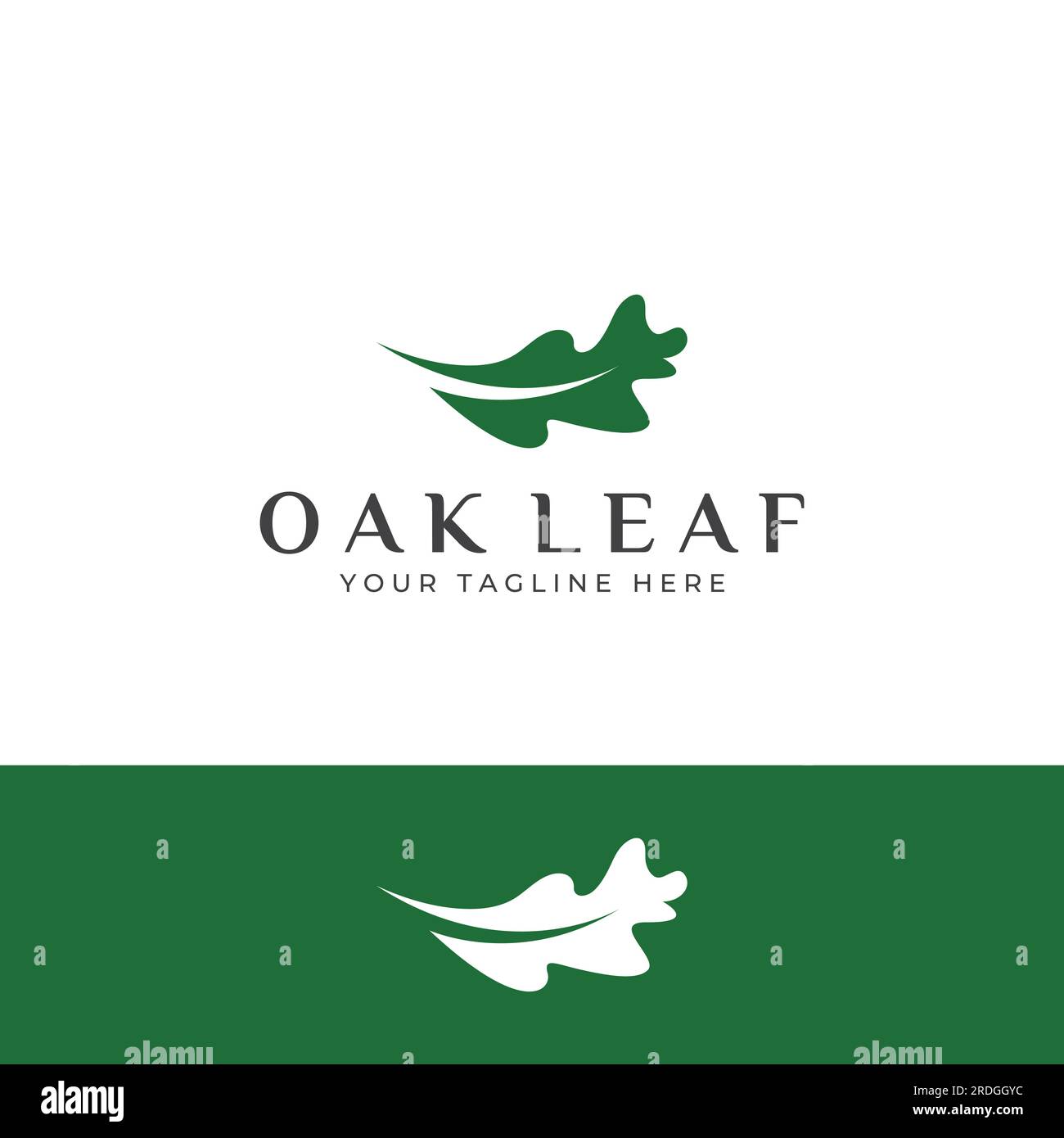 Autumn oak leaf logo and oak tree logo. With editing vector ...