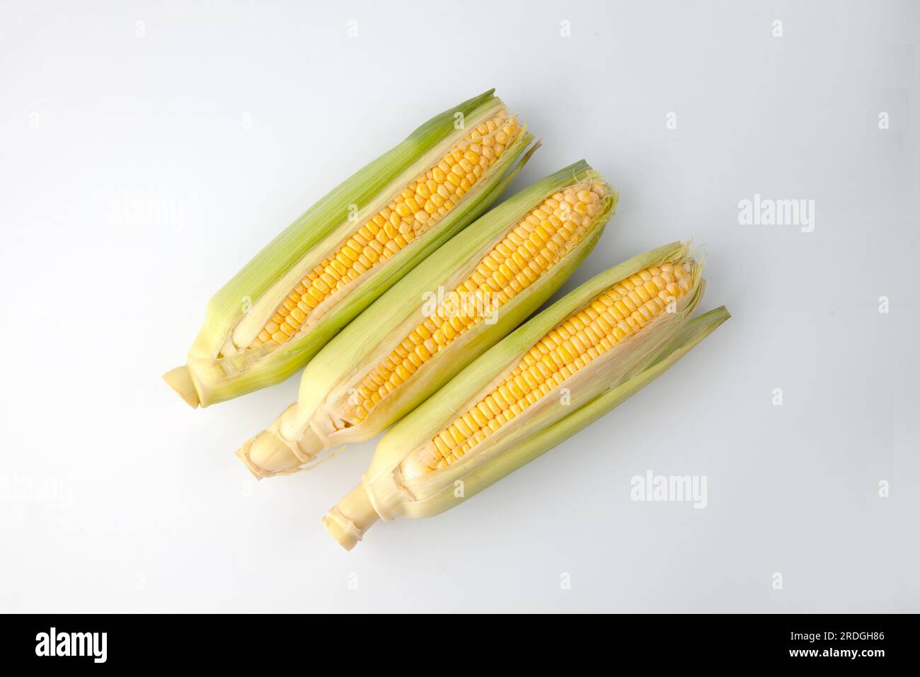 raw corn maize cob closeup isolated on white background Stock Photo - Alamy
