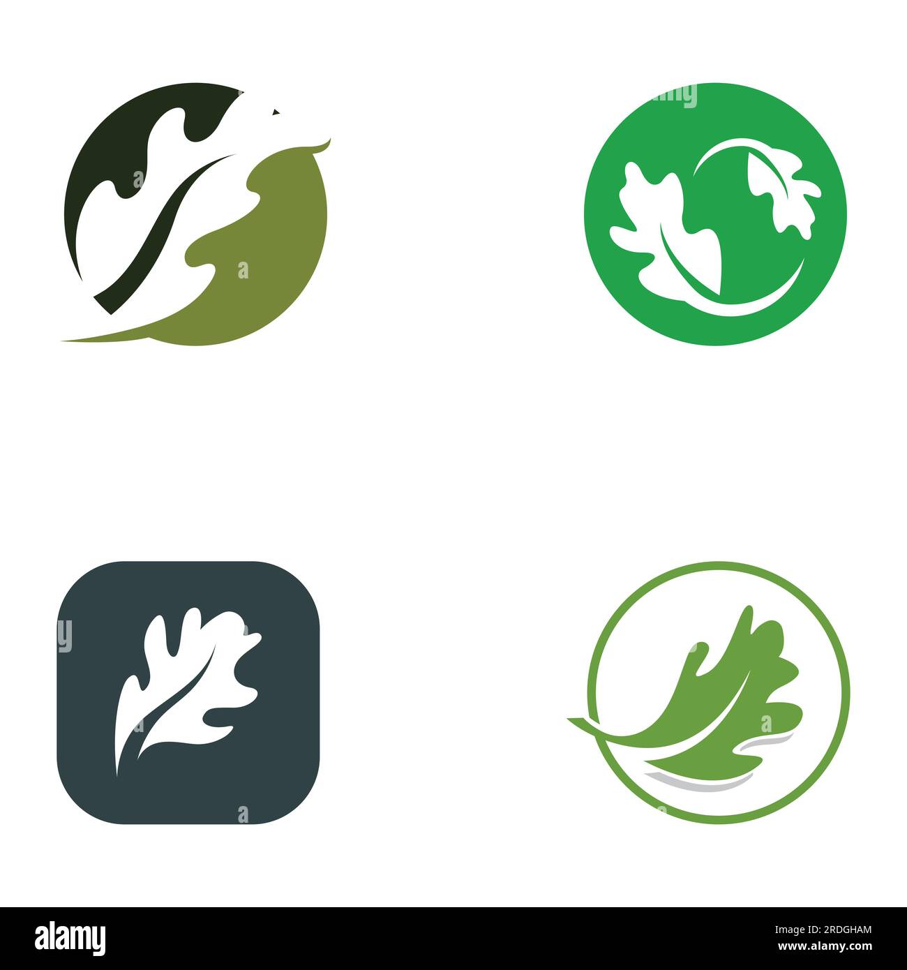 Autumn oak leaf logo and oak tree logo. With editing vector ...