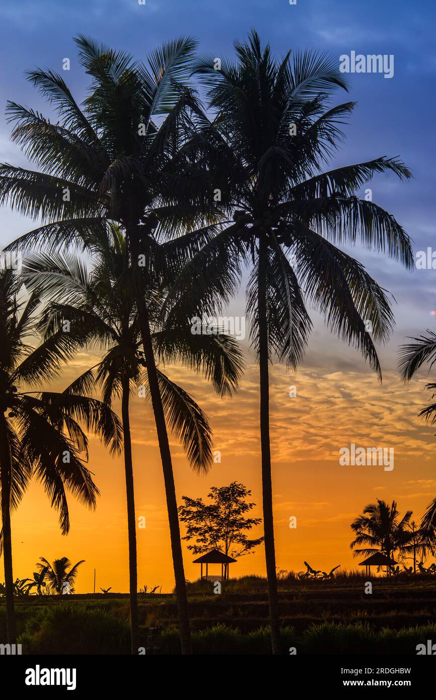 Beautiful sunrise in a small village called Kayuwangi, Semarang Regency ...