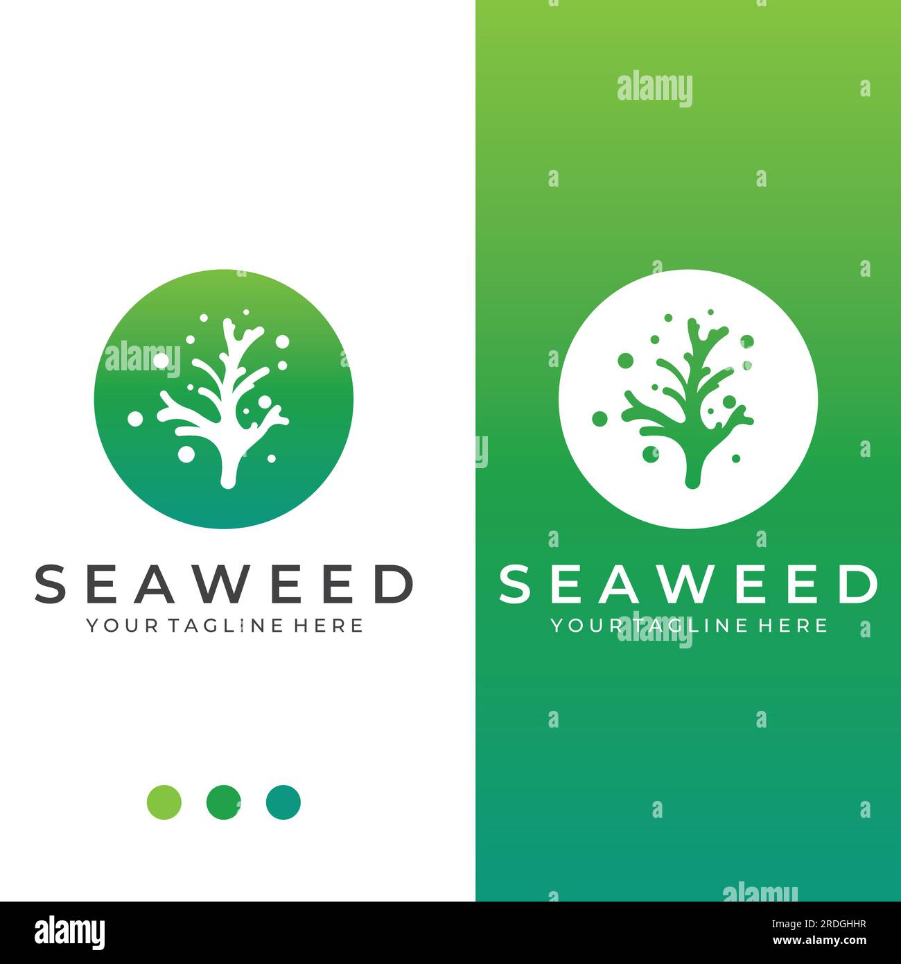 Seaweed logo with vector illustration design Stock Vector Image & Art ...