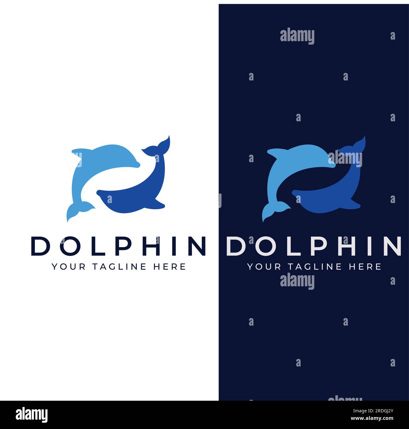 Mammal on beach Stock Vector Images - Alamy