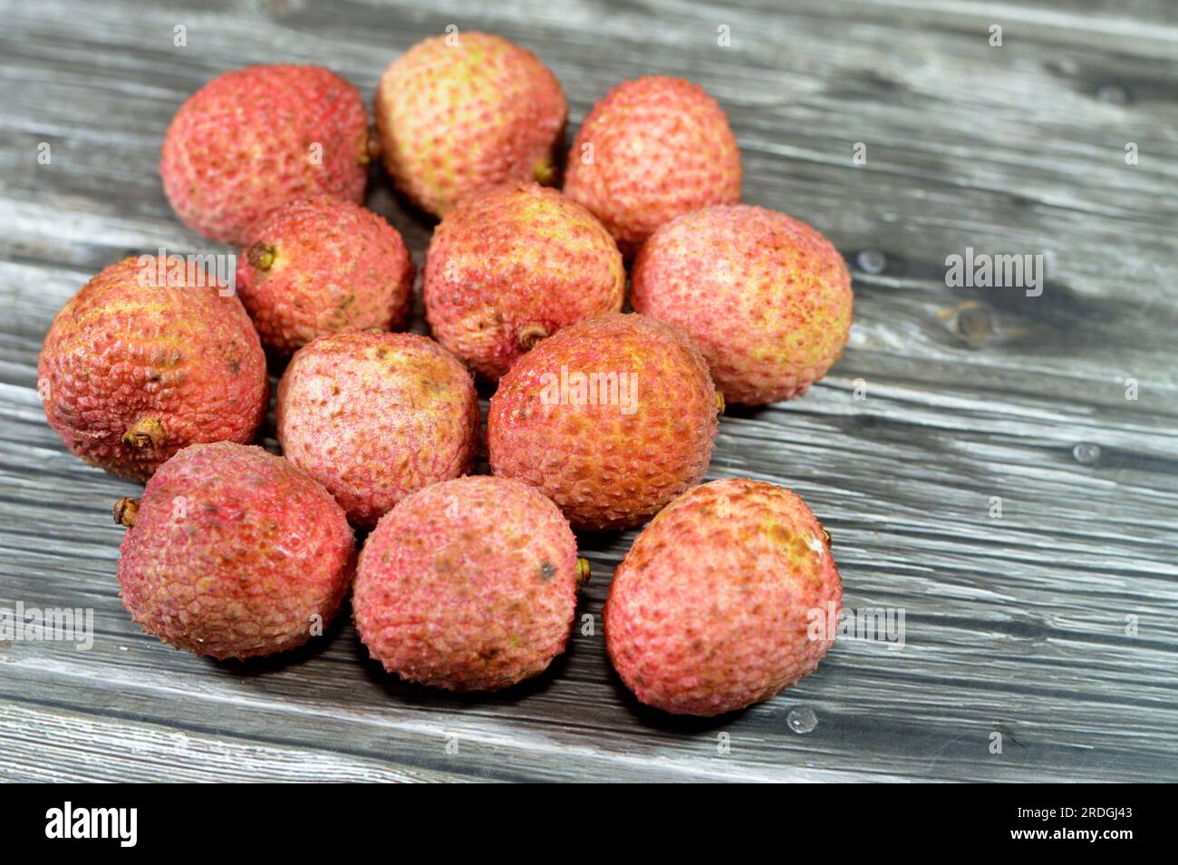 Lychee fruit, Litchi chinensis, a monotypic taxon and the sole member ...