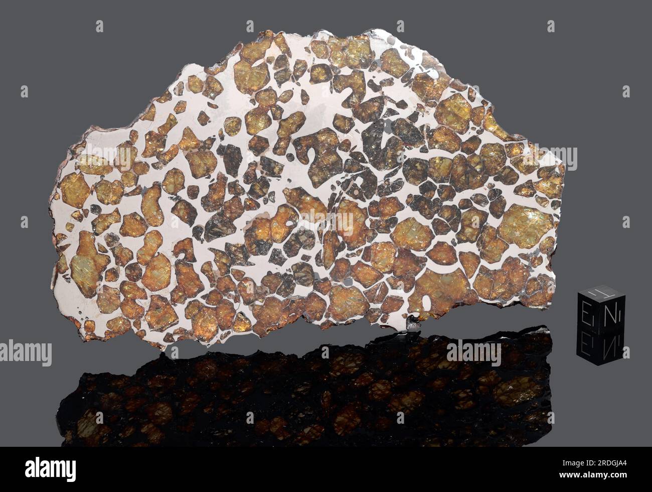 IMILAC - Found in 1822, Atacama Desert, Chile. Pallasite. Total mass ...