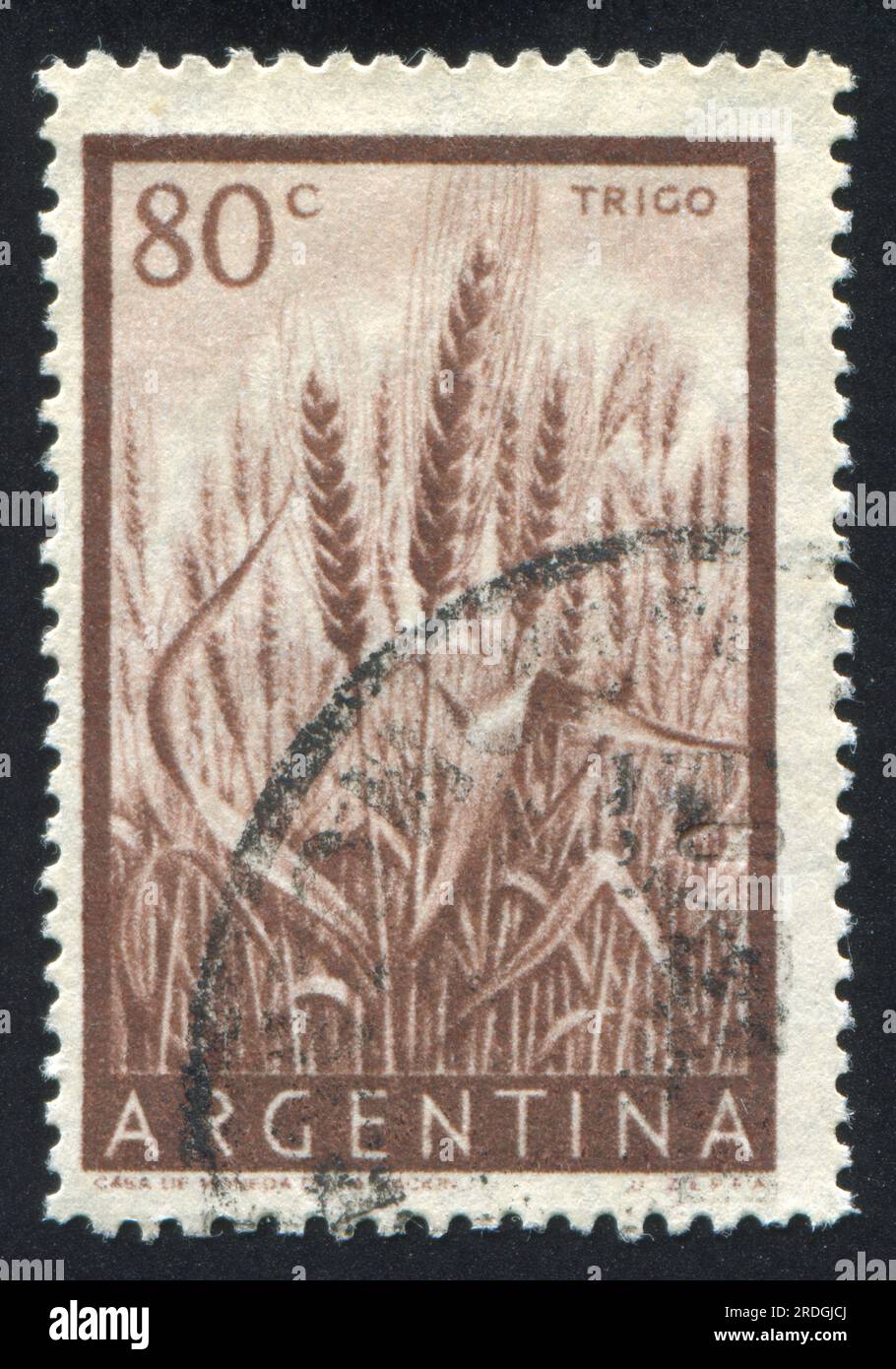 ARGENTINA - CIRCA 1954: stamp printed by Argentina, shows Wheat, circa ...