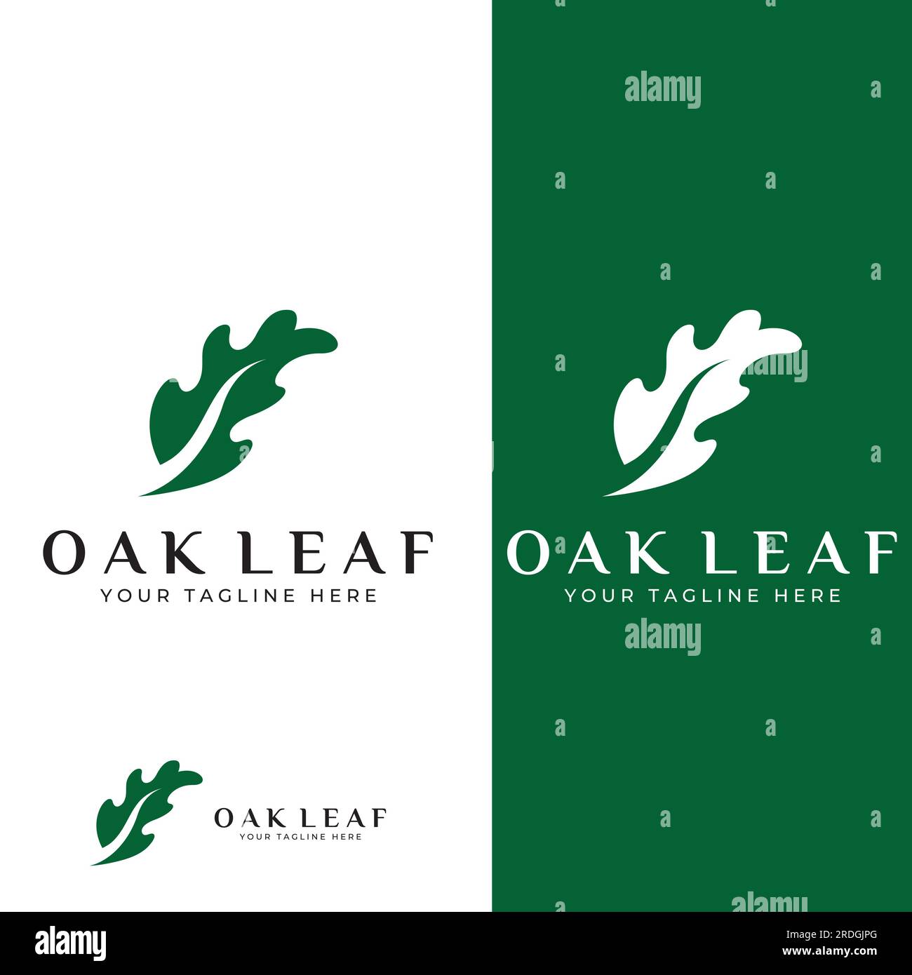 Autumn oak leaf logo and oak tree logo. With editing vector ...