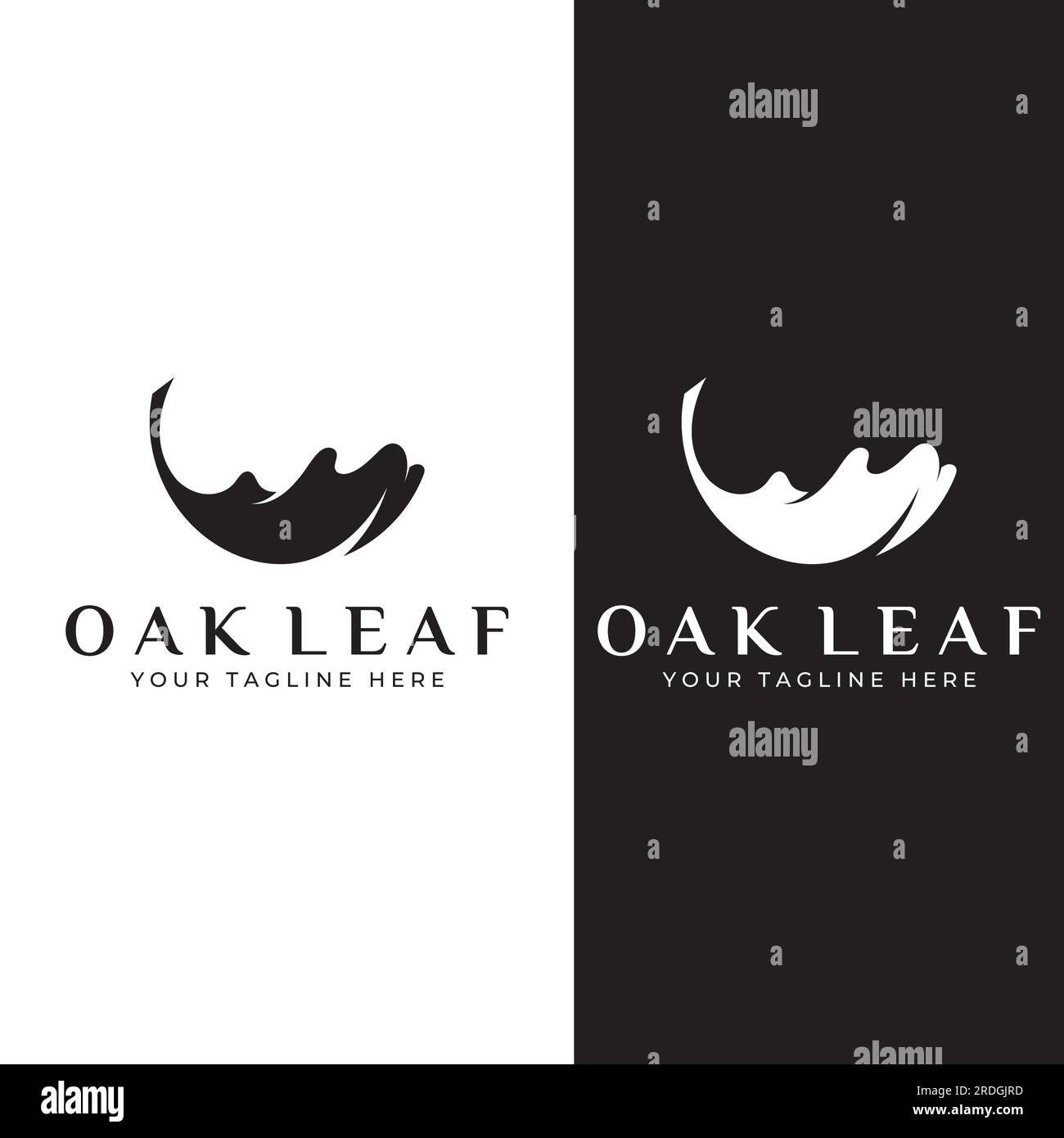 Autumn oak leaf logo and oak tree logo. With editing vector ...