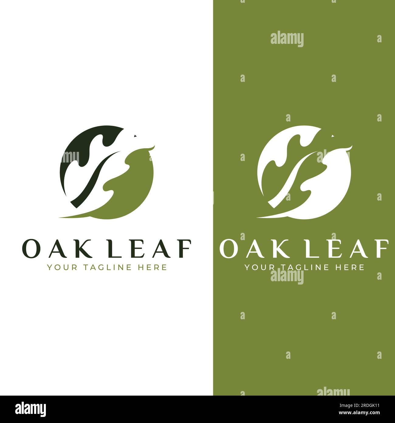 Autumn oak leaf logo and oak tree logo. With editing vector ...