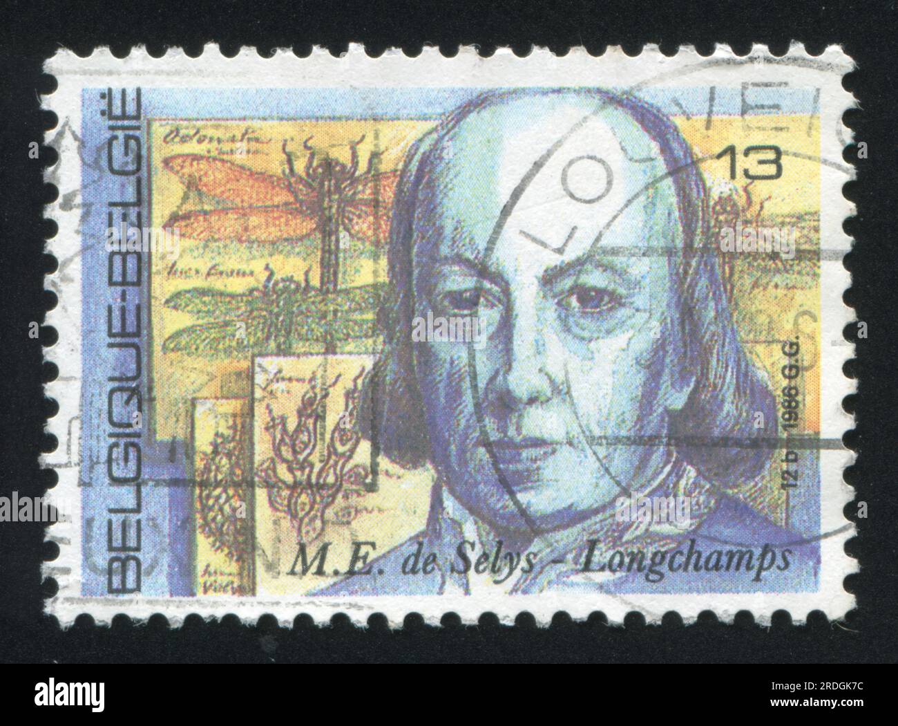 Baron dragonfly hi-res stock photography and images - Alamy