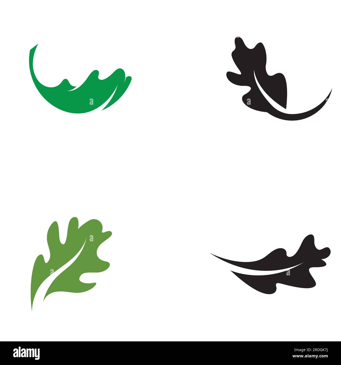 Autumn oak leaf logo and oak tree logo. With editing vector ...