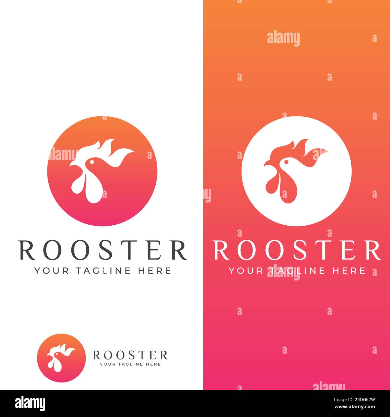 Chicken logo, rooster head logo with fish combination. The chicken logo ...