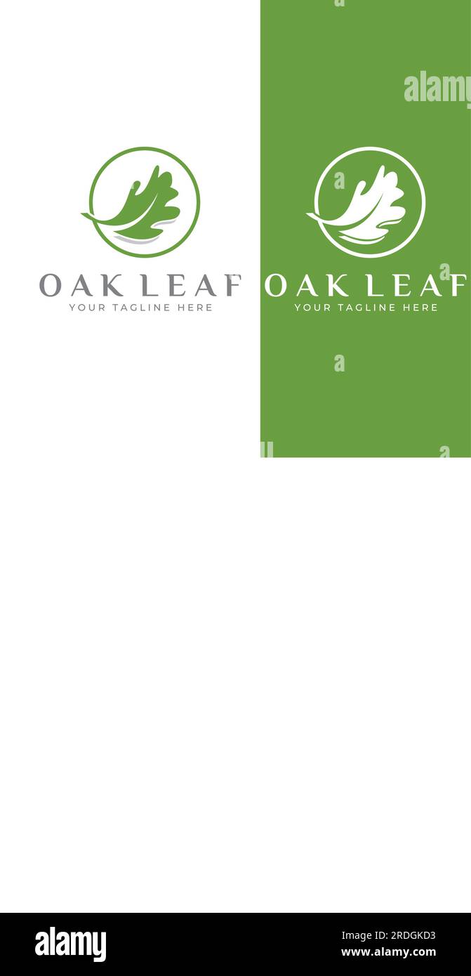 Autumn oak leaf logo and oak tree logo. With editing vector ...