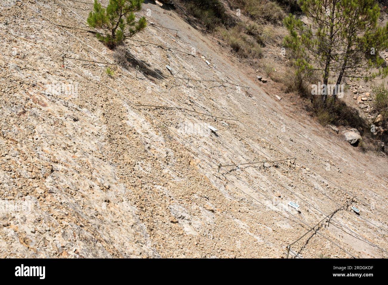 Trace fossils hi-res stock photography and images - Alamy