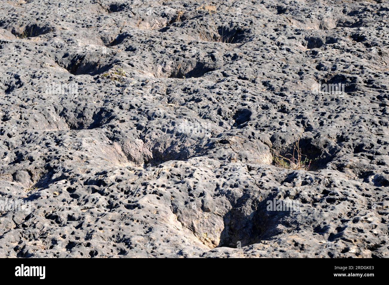 Ray trace hi-res stock photography and images - Alamy