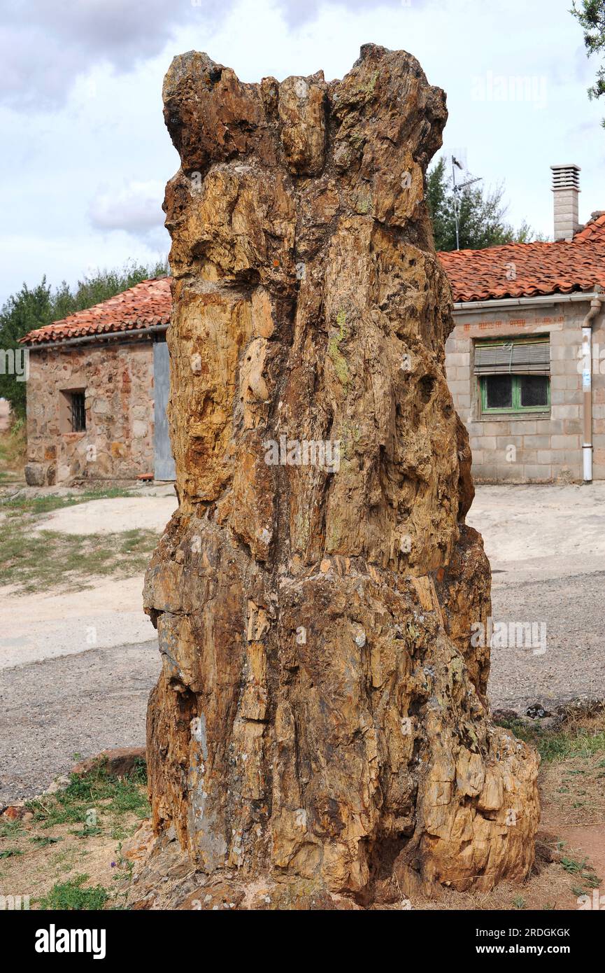 Xilopalo hi-res stock photography and images - Alamy