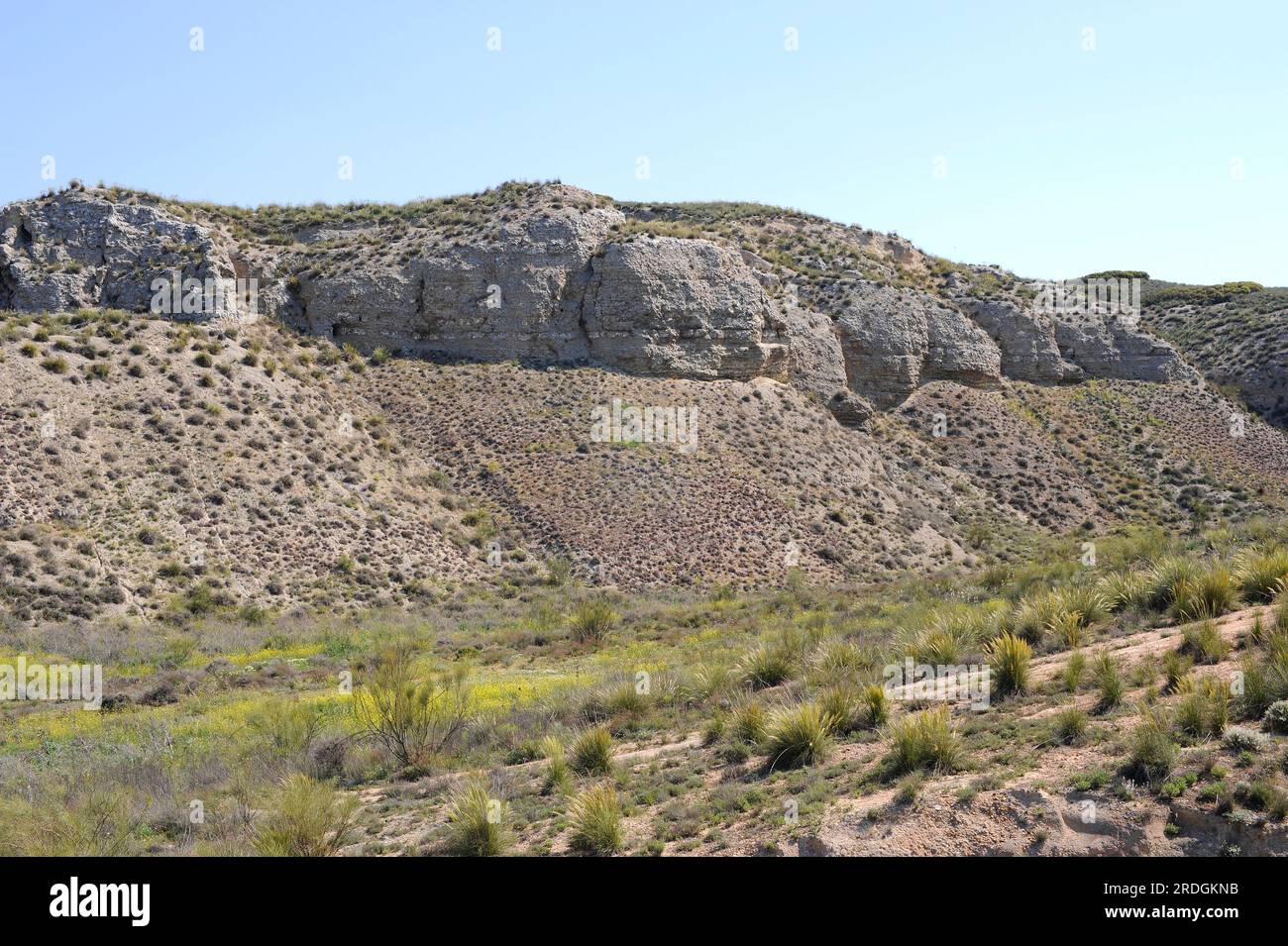 Gypsum deposits and gypsicole vegetation in Ontigola, Madrid, Spain ...
