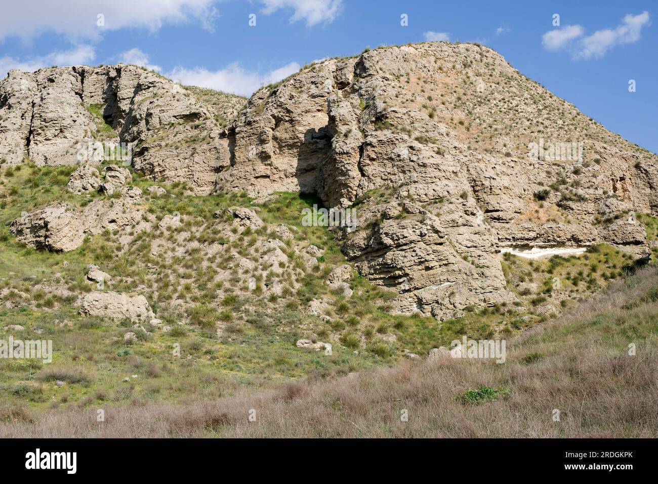 Gypsum deposits and gypsicole vegetation in Tajuña Valley, Madrid ...