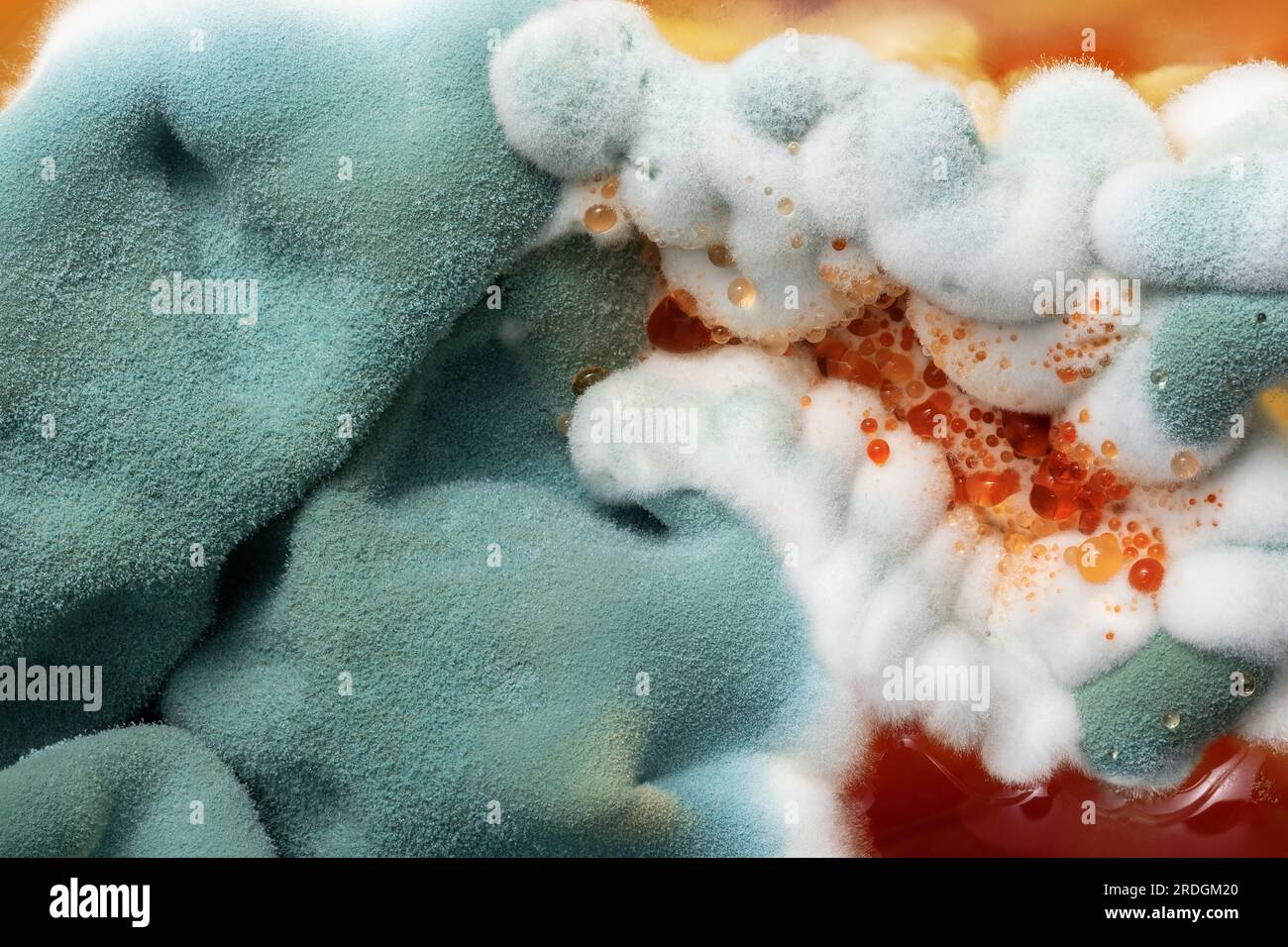 Mold texture hi-res stock photography and images - Alamy