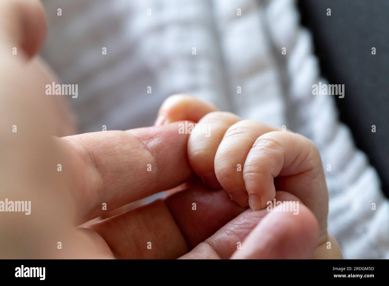 A close up portrait of the small tiny fingers of a baby grabbing or ...