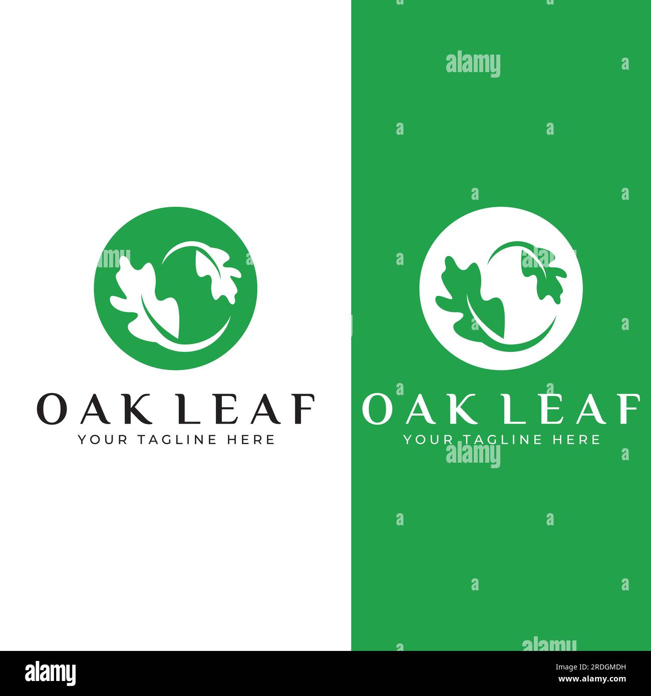 Autumn oak leaf logo and oak tree logo. With editing vector ...
