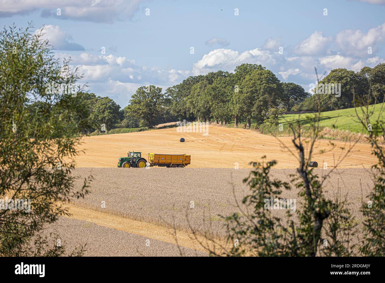 Farm machinery gathering a crop in a farmer's field Stock Photo - Alamy