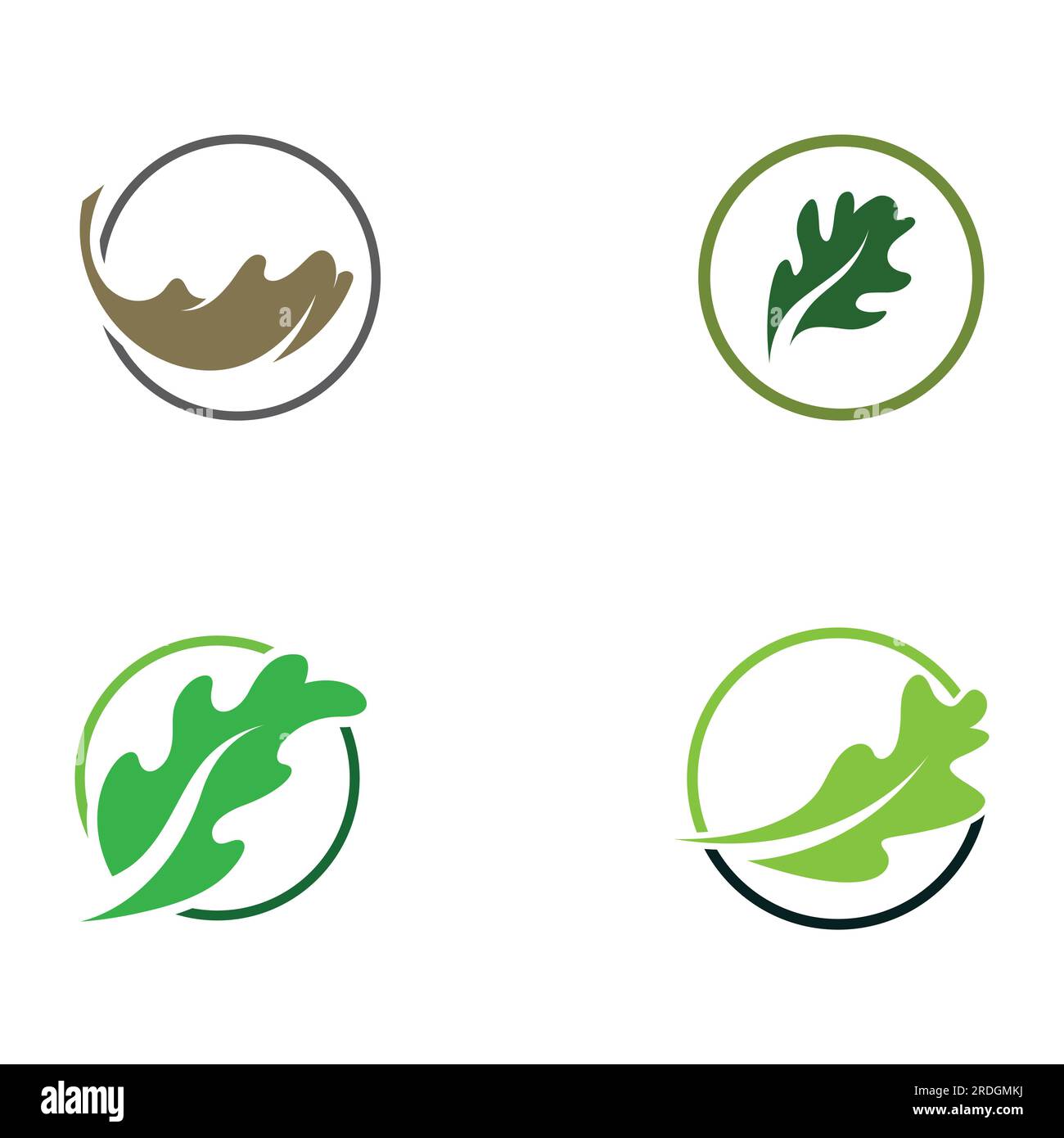 Autumn oak leaf logo and oak tree logo. With editing vector ...