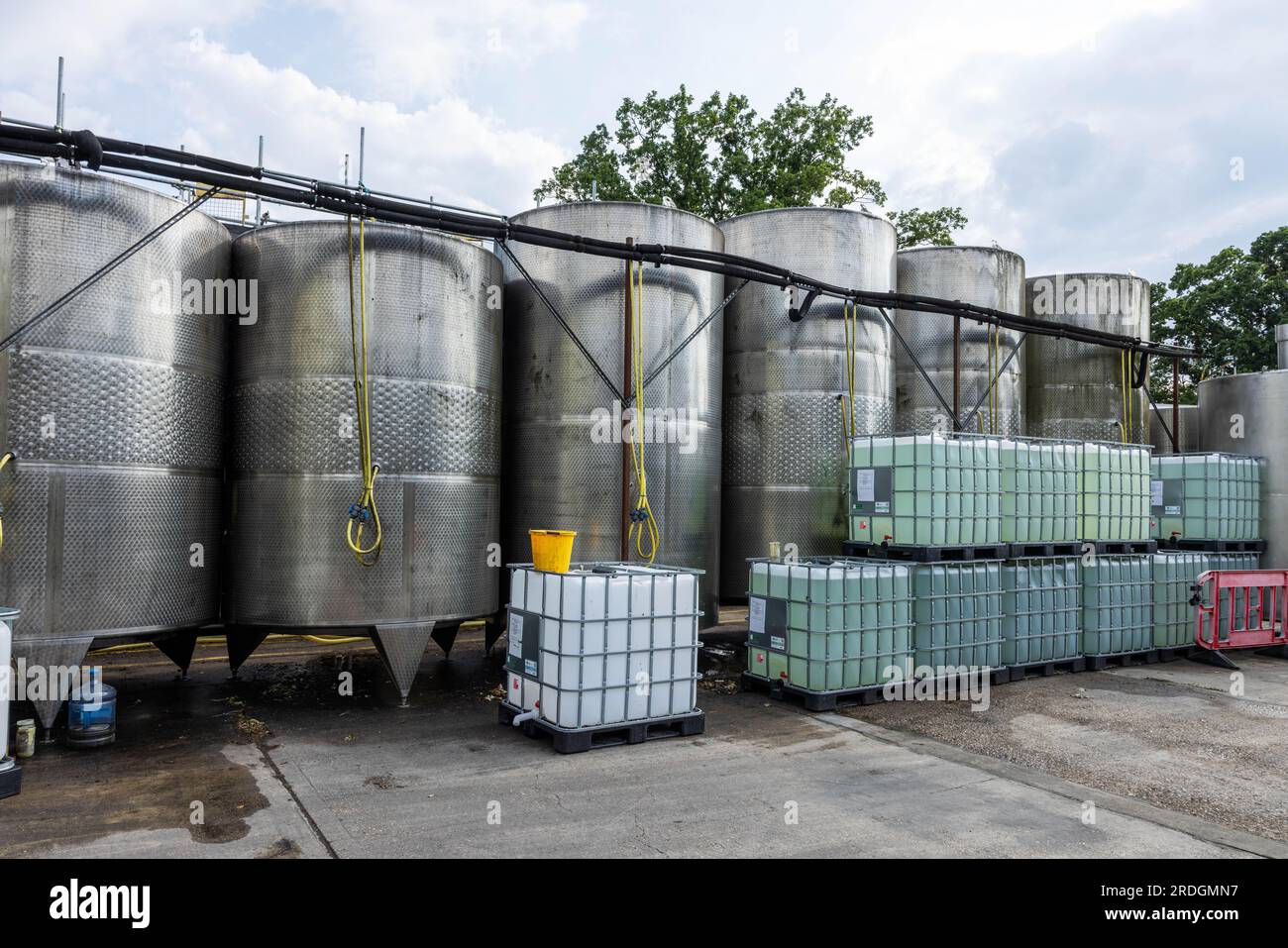 Wine storage vats Stock Photo - Alamy