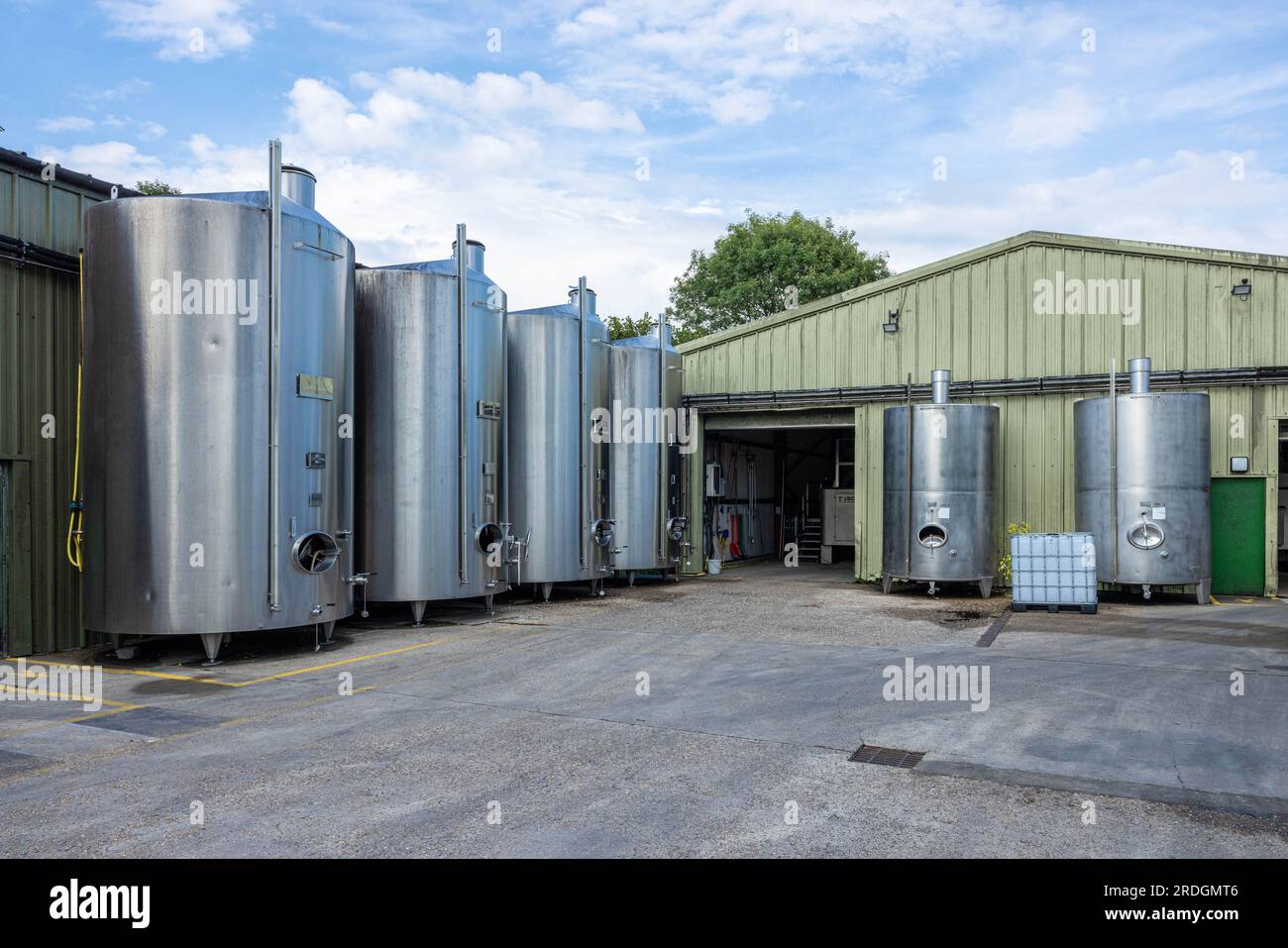 Harvesting from english vineyard hi-res stock photography and images ...