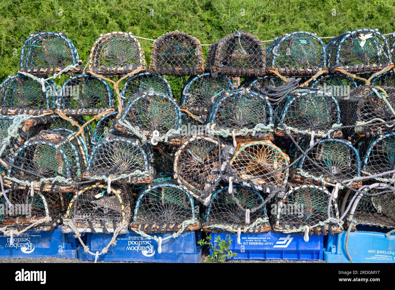 Lobster nets hi-res stock photography and images - Alamy