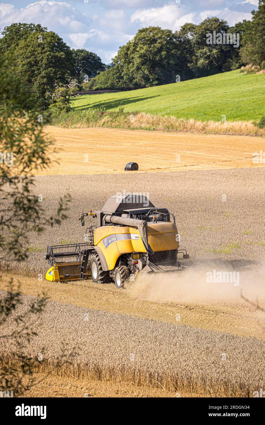 Farm machinery gathering a crop in a farmer's field Stock Photo - Alamy