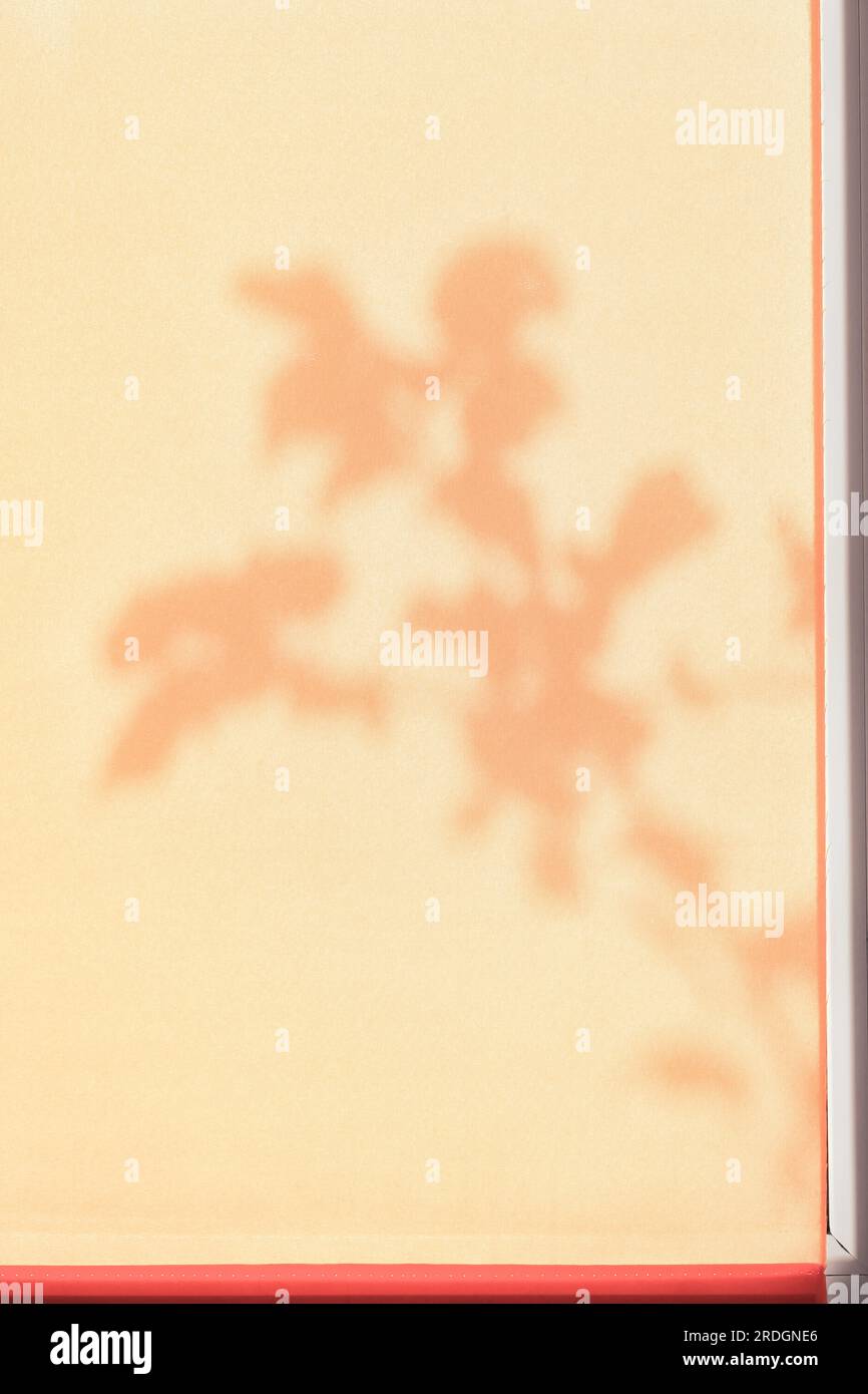 Garden leaves shadows on blinds in window. Natural abstract backdrop ...