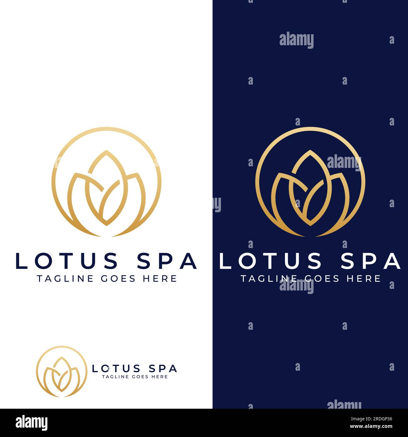 Beautiful and naturally beautiful lotus spa flowers, with luxurious and ...