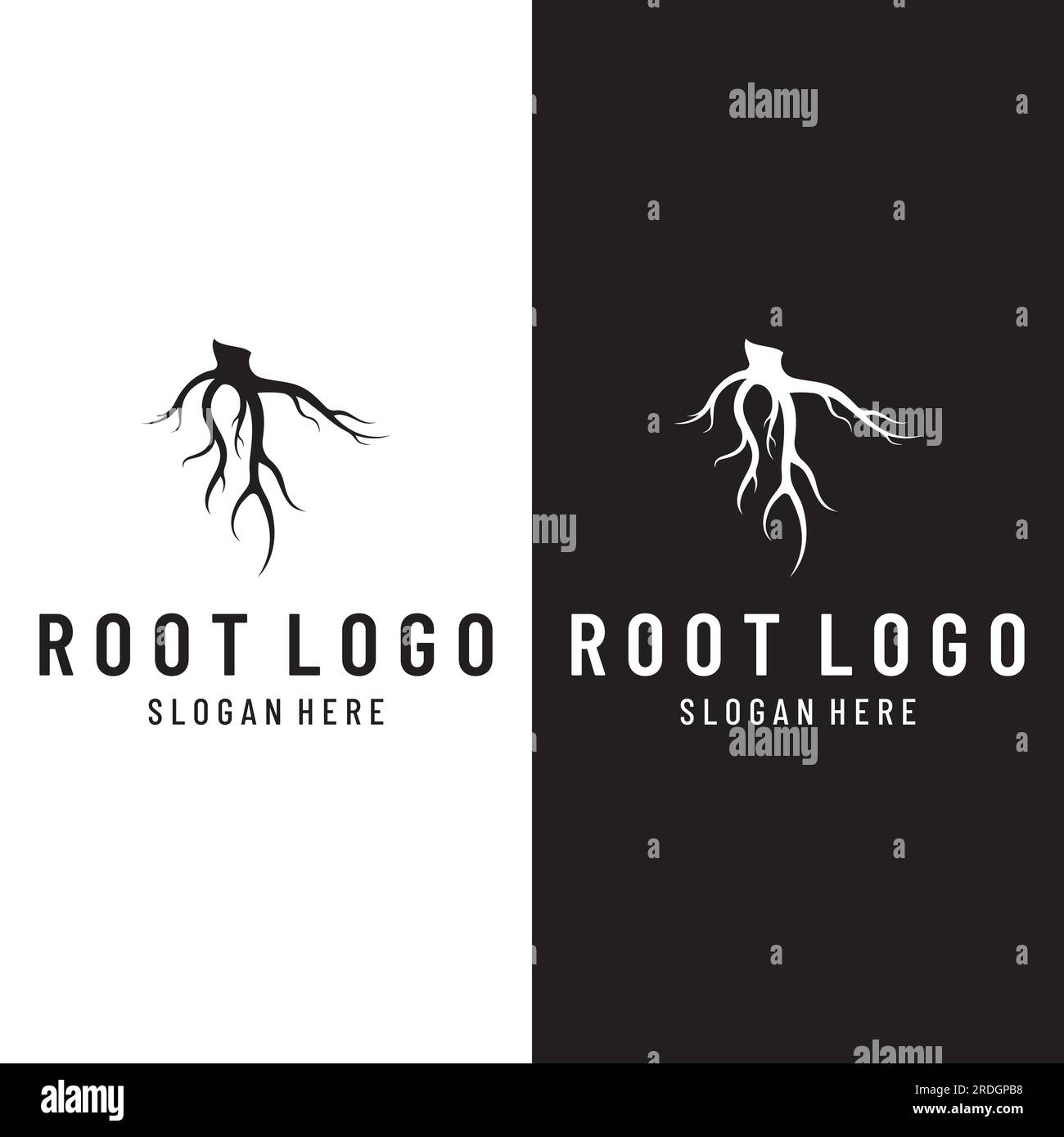 Natural abstract logo creative design of single and fibrous tree root ...