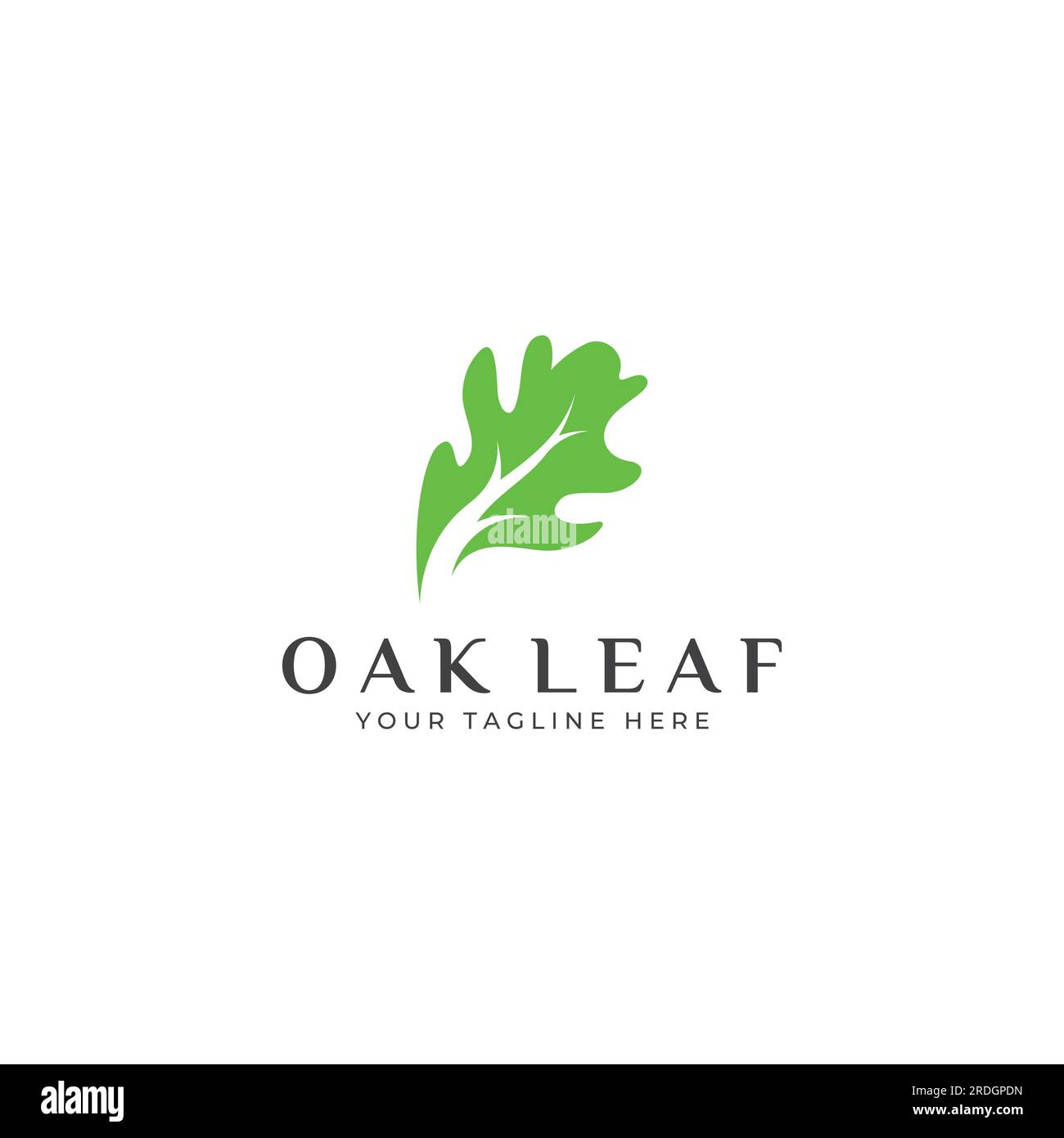 Autumn oak leaf logo and oak tree logo. With editing vector ...